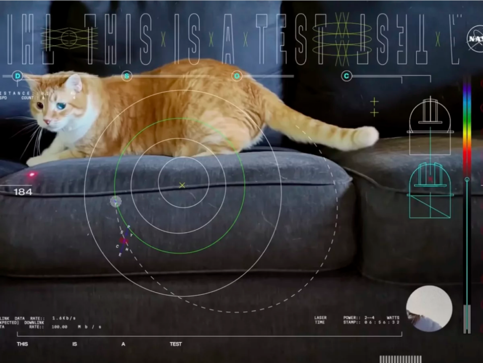 NASA Sukses Kirim Video ‘Kucing’ dari Luar Angkasa | Asumsi NASA Sukses Kirim Video ‘Kucing’ dari Luar Angkasa | Asumsi